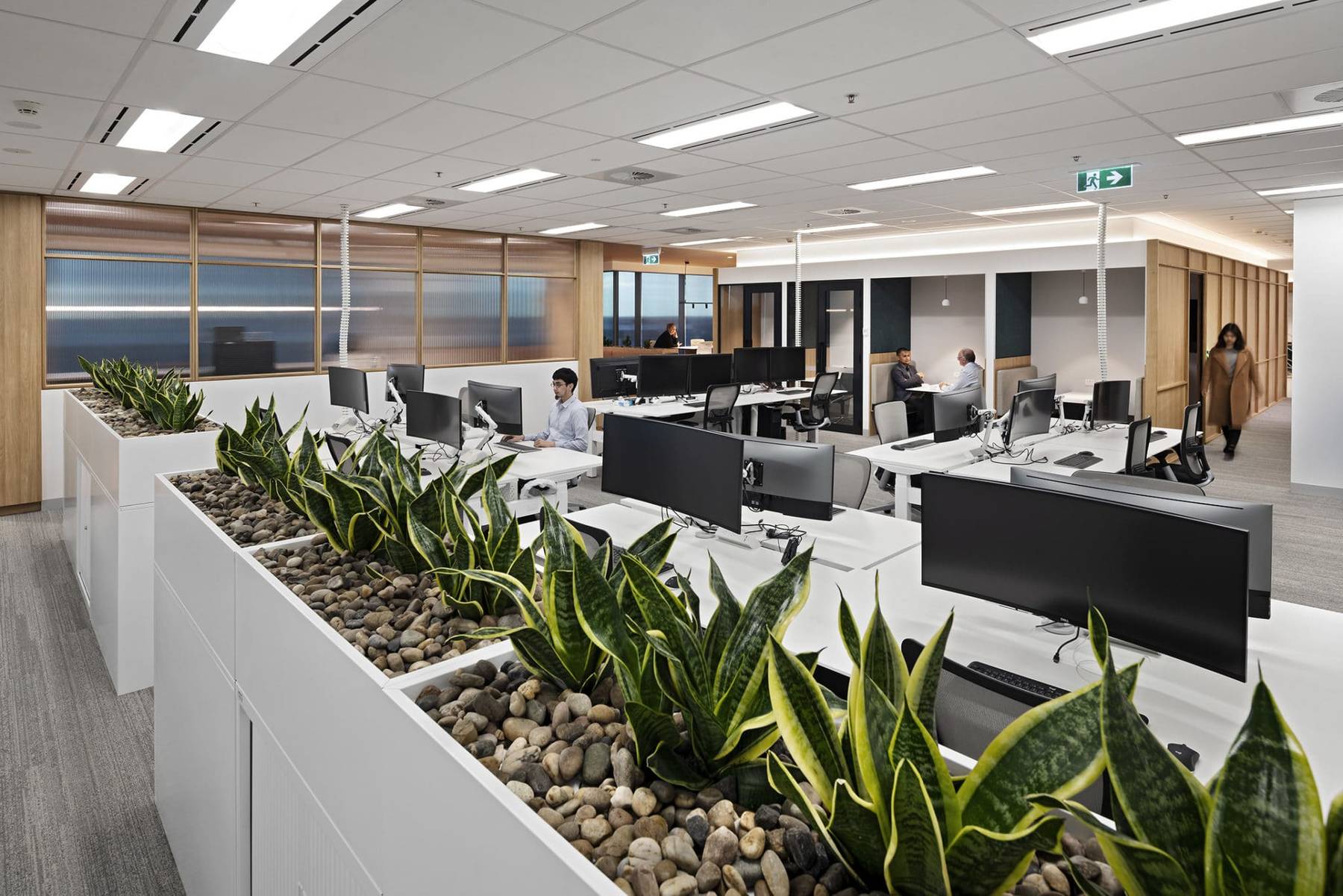 BP Office Fitout | Swan Group